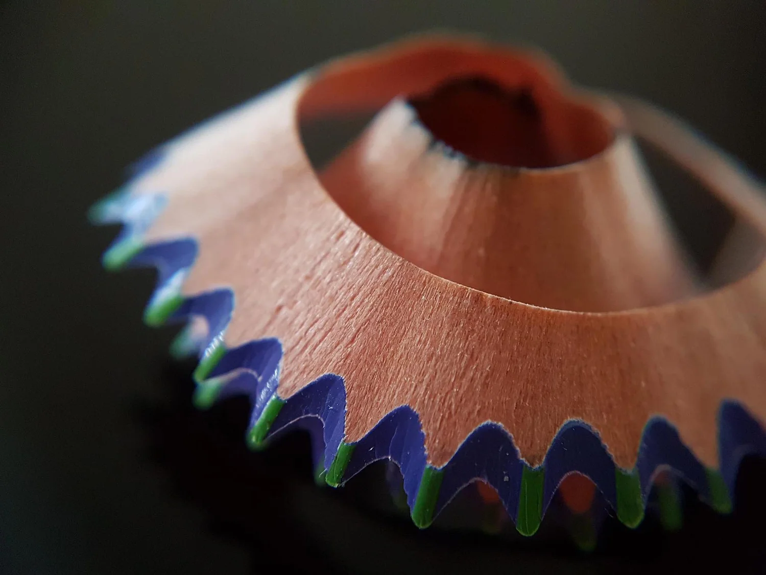 Macro Photography Ideas: 20 Creative Close-Up Photo Tips
