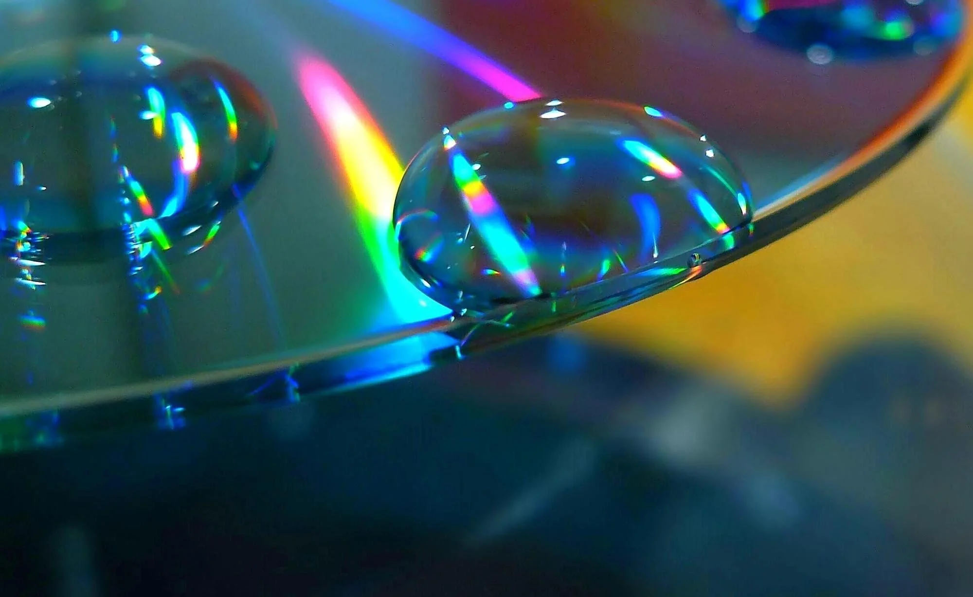 Macro Photography Ideas: 20 Creative Close-Up Photo Tips