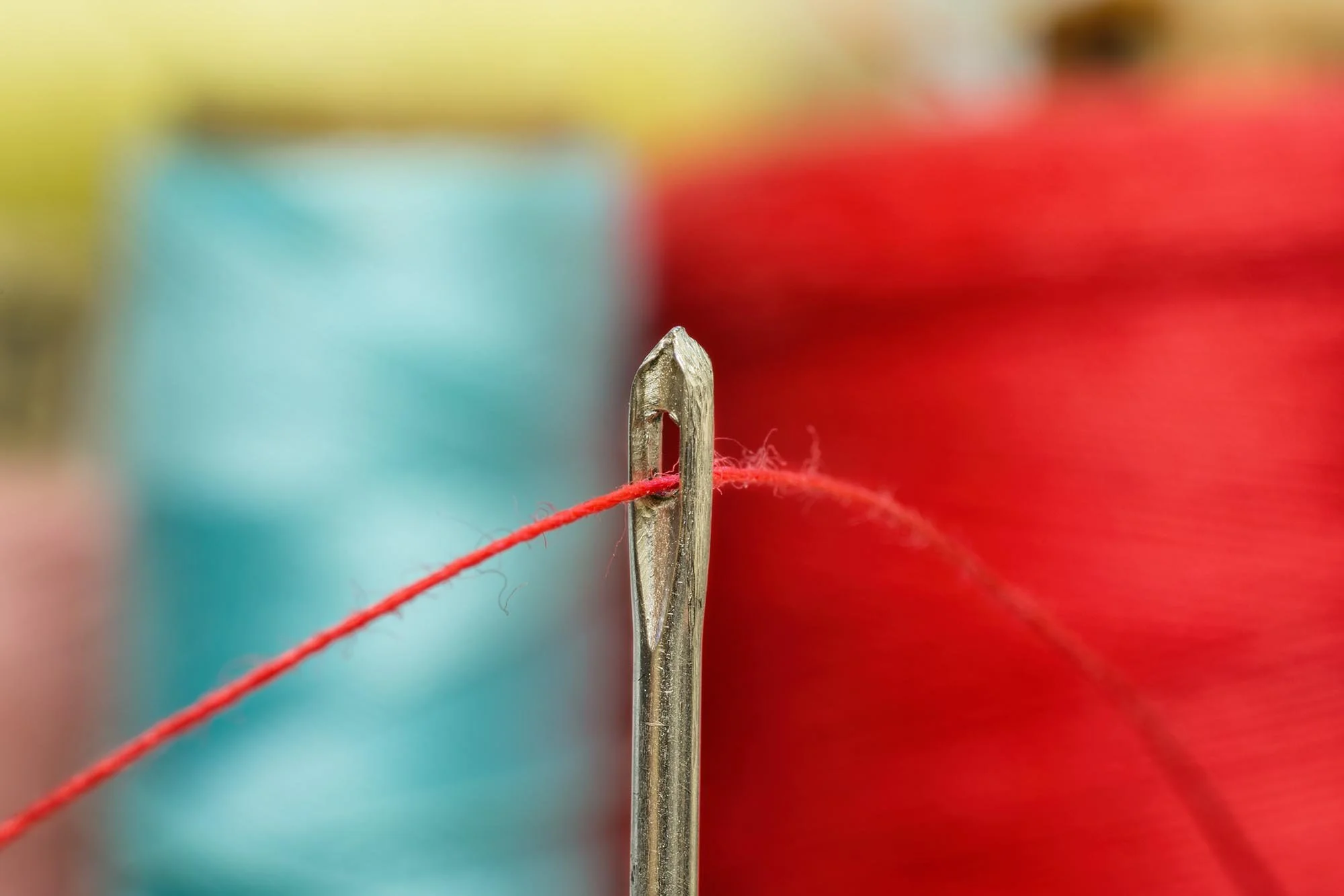Macro Photography Ideas: 20 Creative Close-Up Photo Tips