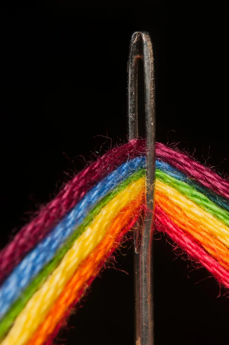 Macro Photography Ideas: 20 Creative Close-Up Photo Tips
