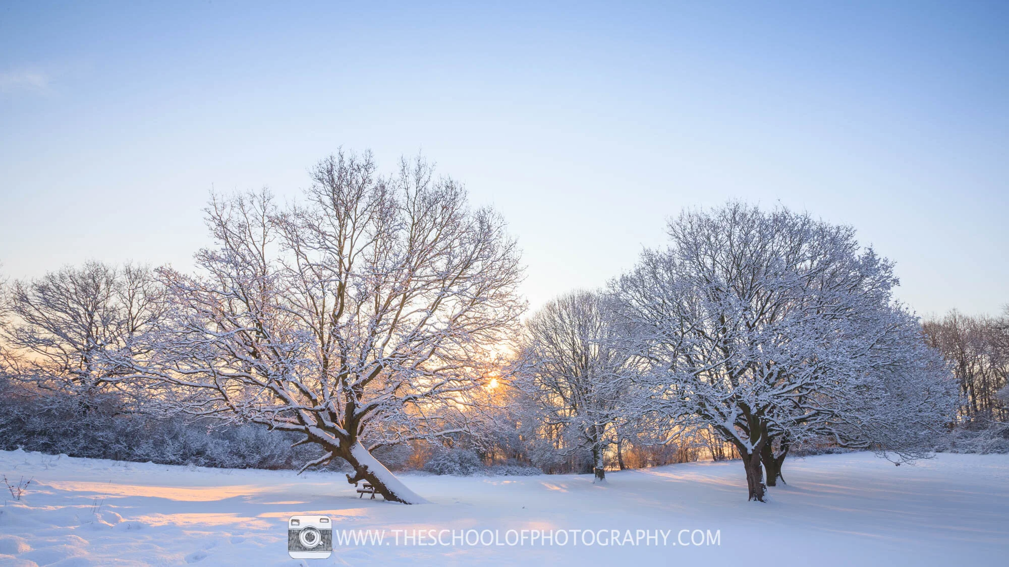 How to Take Pictures in the Snow | Snow Photography Tips