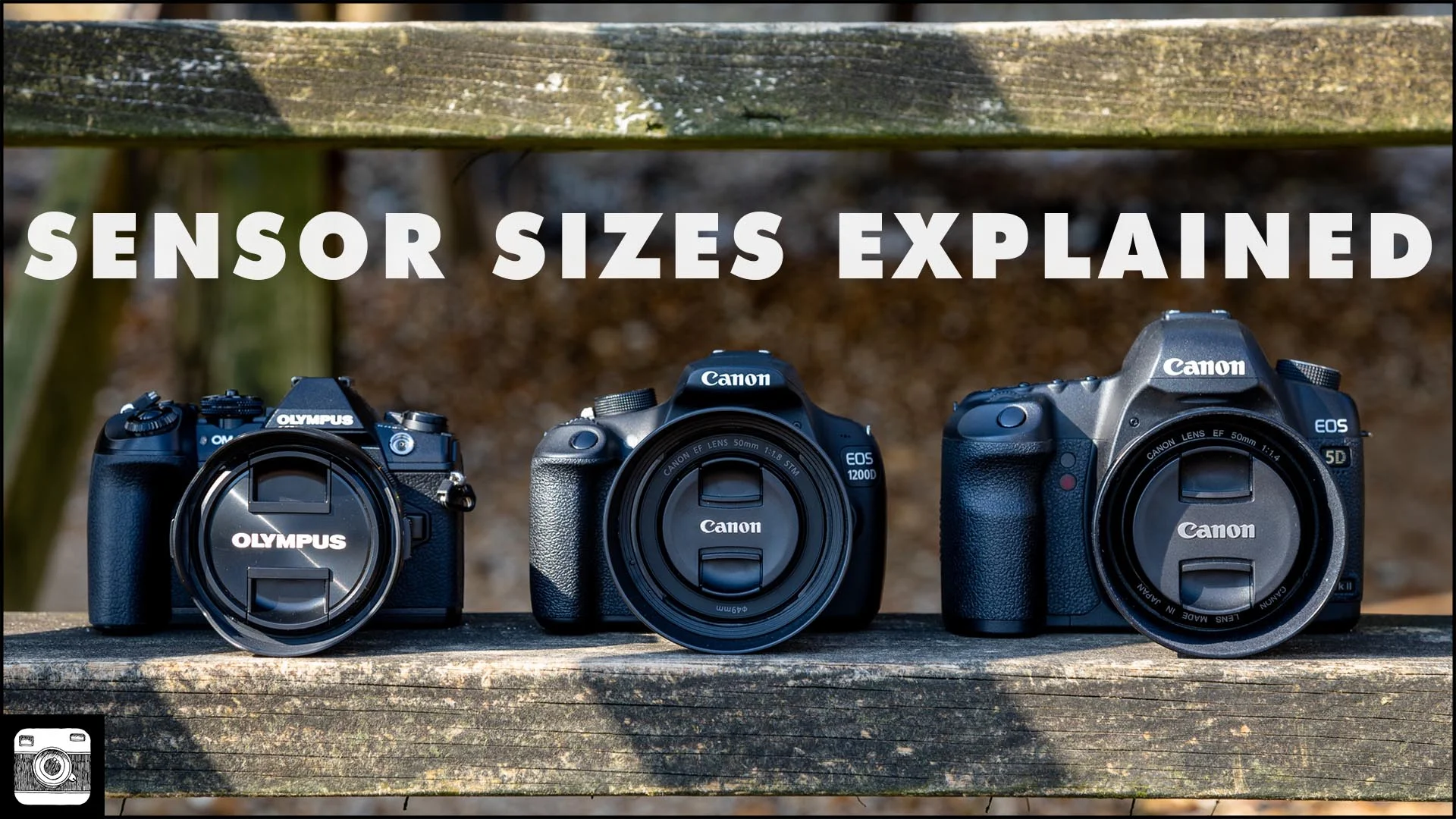 sensor sizes — Photography Beginners: Essential Tips & Guide for Better ...