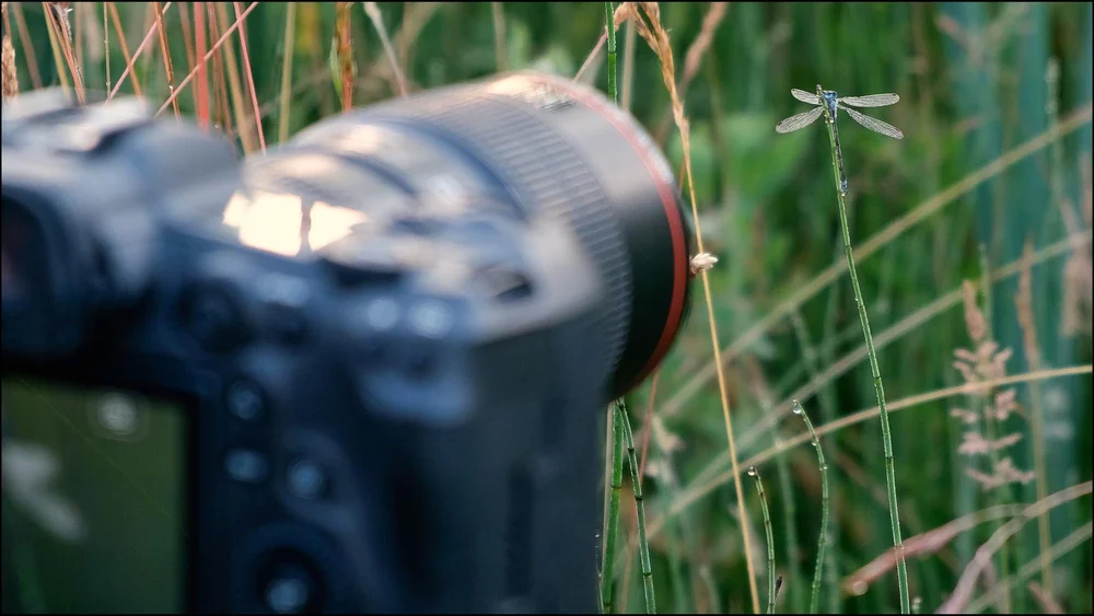 Macro Photography Course