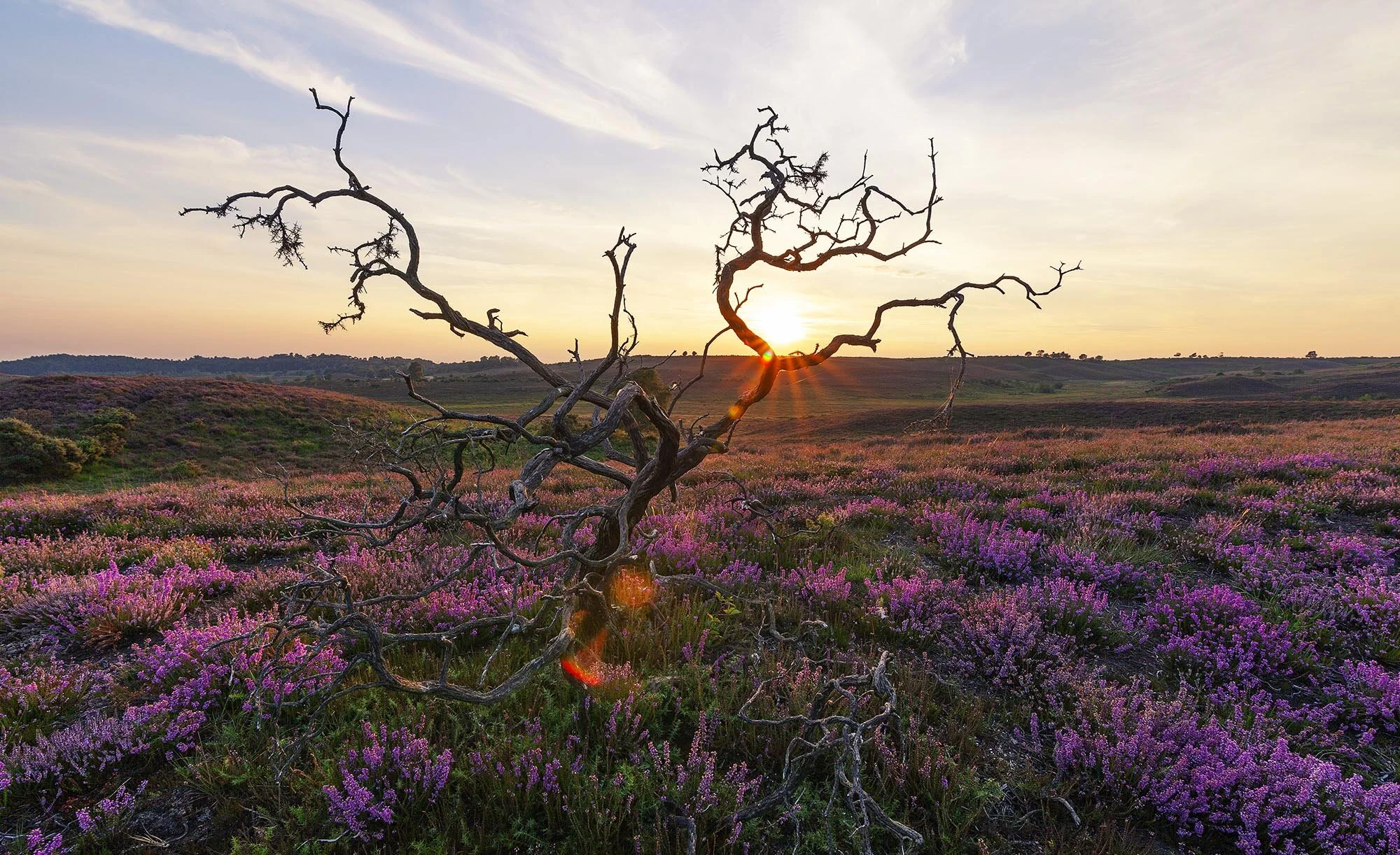 Photoshop Teacher Training Course | The School of Photography