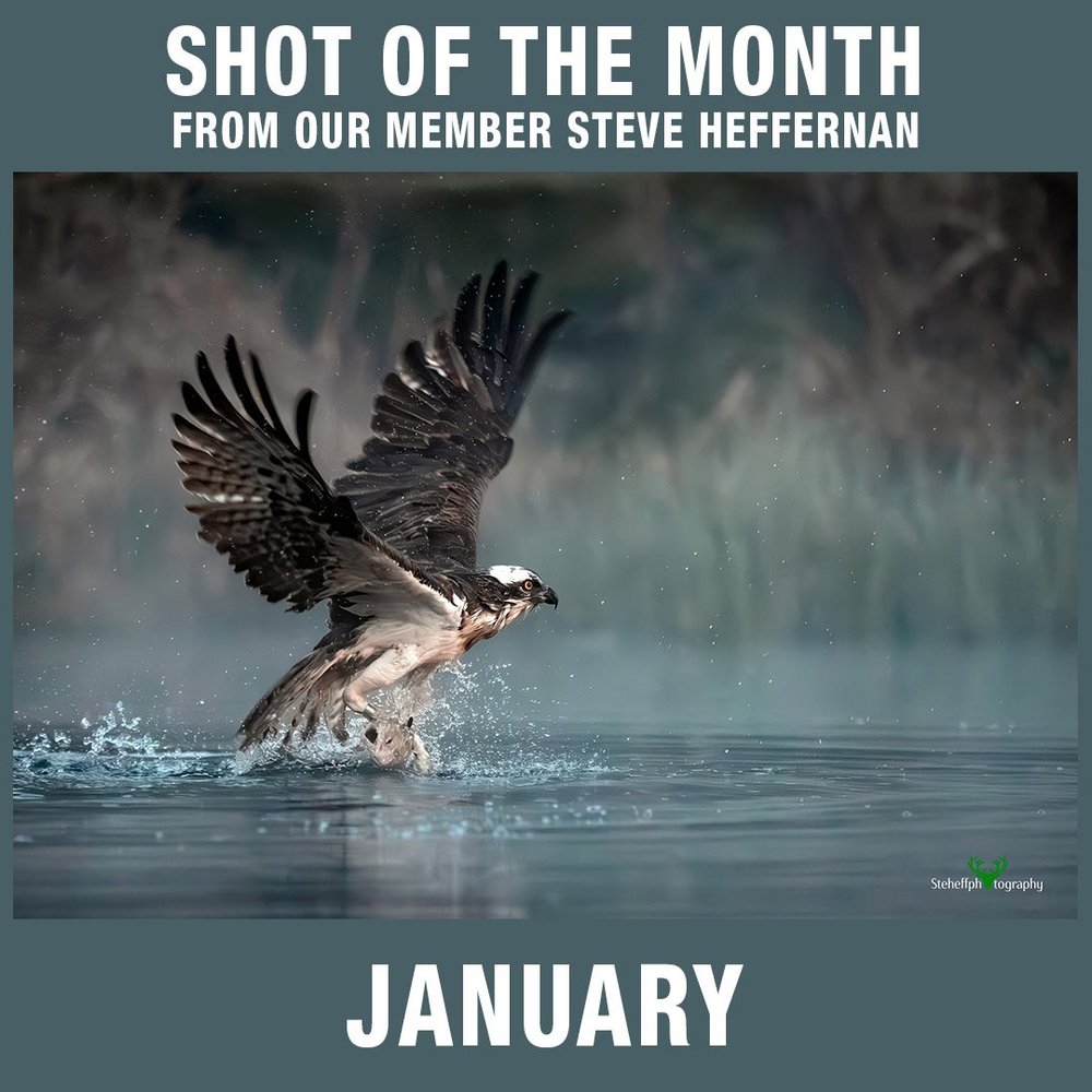 Member's Gallery | The School of Photography