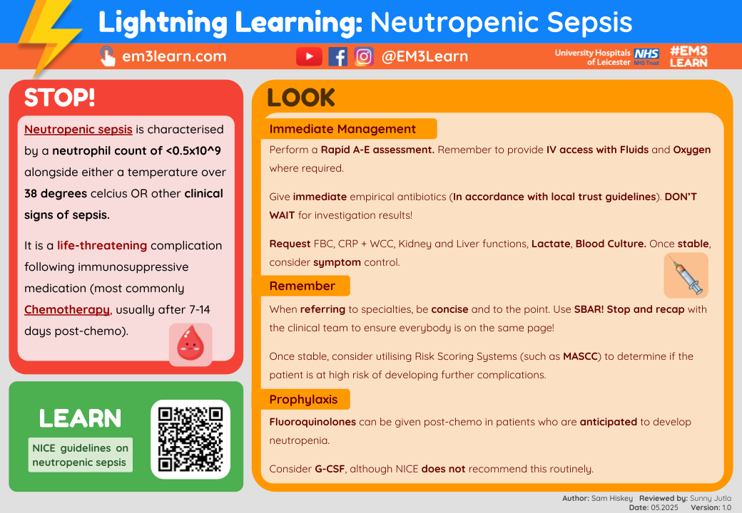 Adult Lightning Learning Resources — EM3