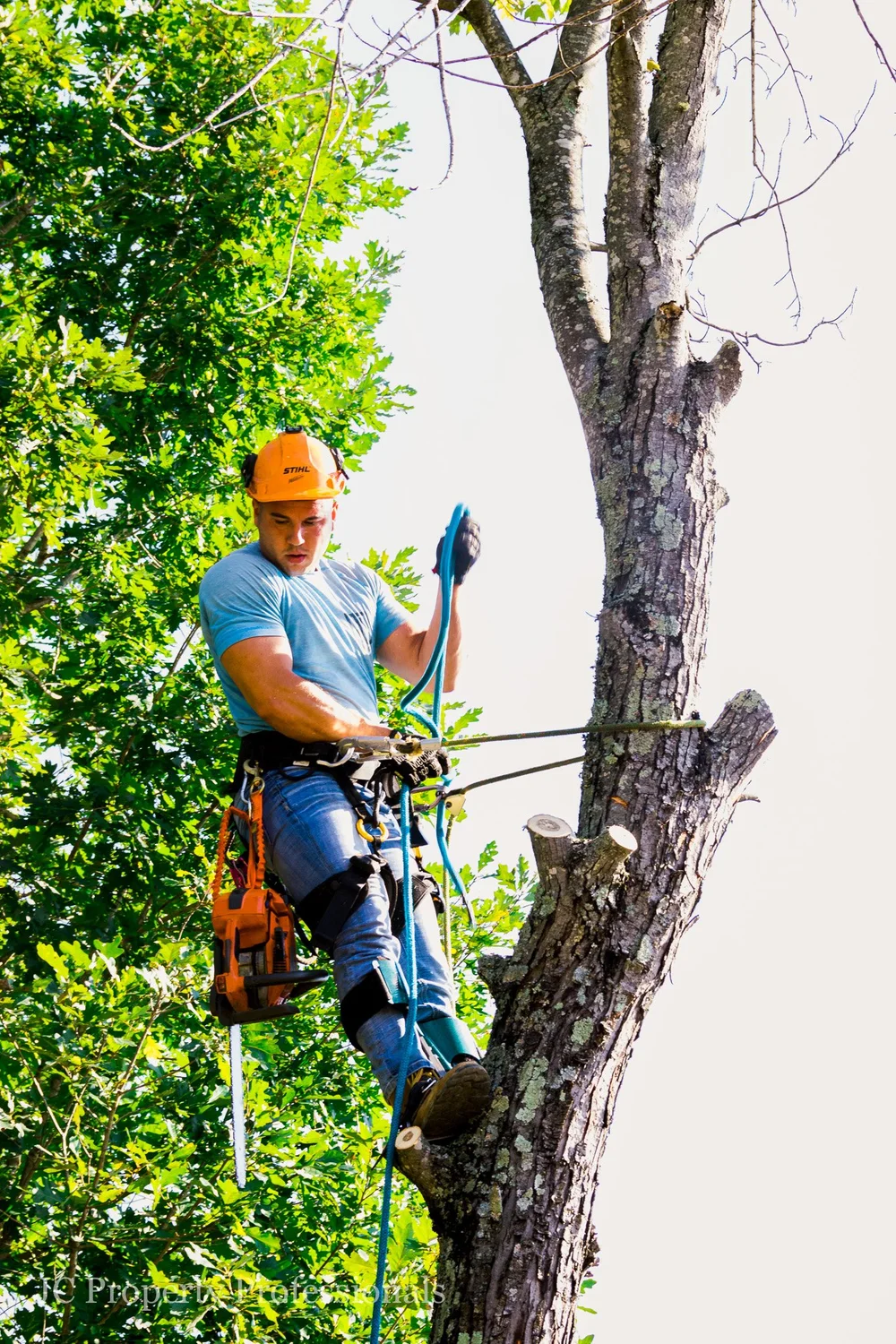 JC Property Professionals