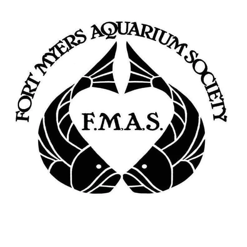 Fort Myers Aquarium Society (FMAS)