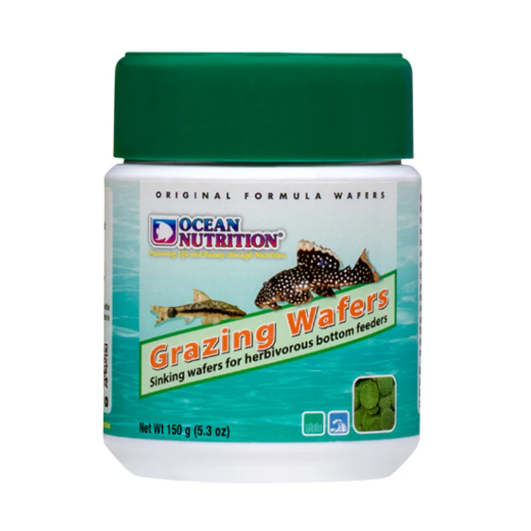 Grazing Wafers - ON — Big Fish Aquarium