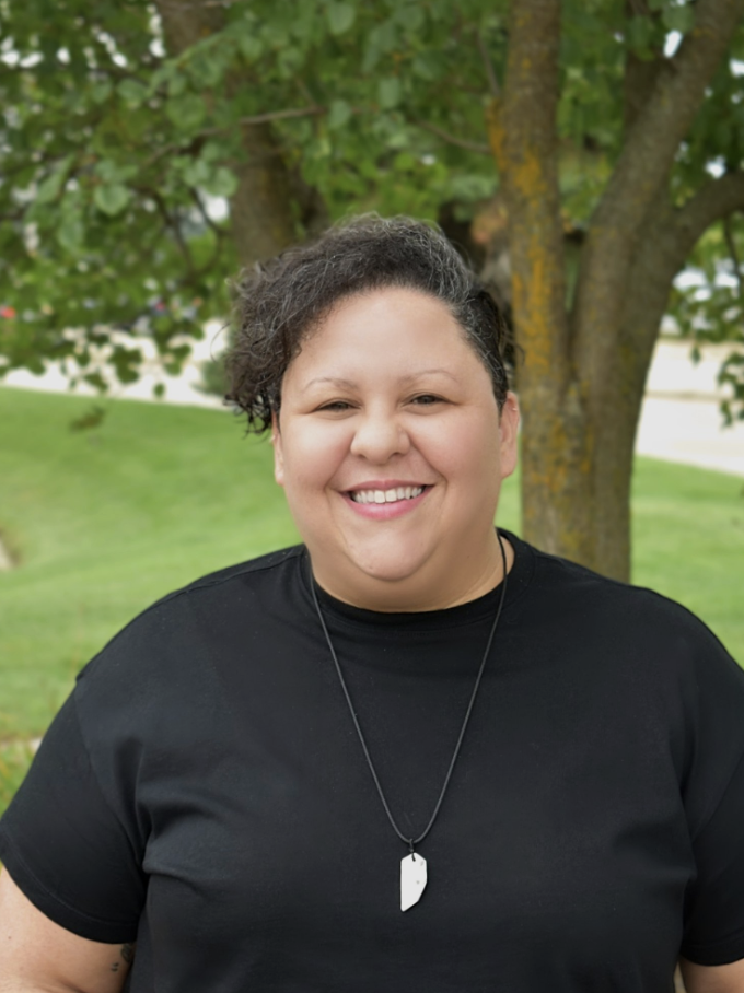 Chicago DBT Institute | Expert Dialectical Behavior Therapy Services in ...