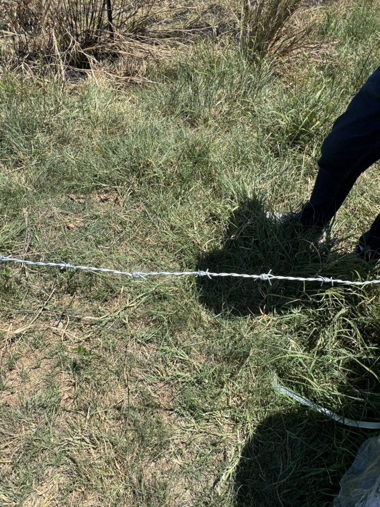 Barbed Wire — Corfarm