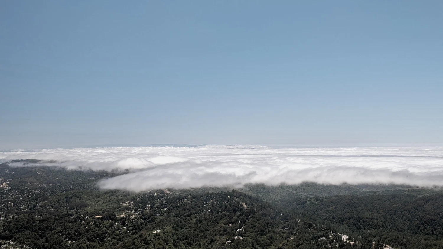Marin Photographer Collective