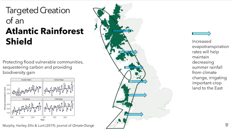 FIVE THINGS TEMPERATE RAINFORESTS DO FOR US, AND HOW WE CAN GIVE BACK ...