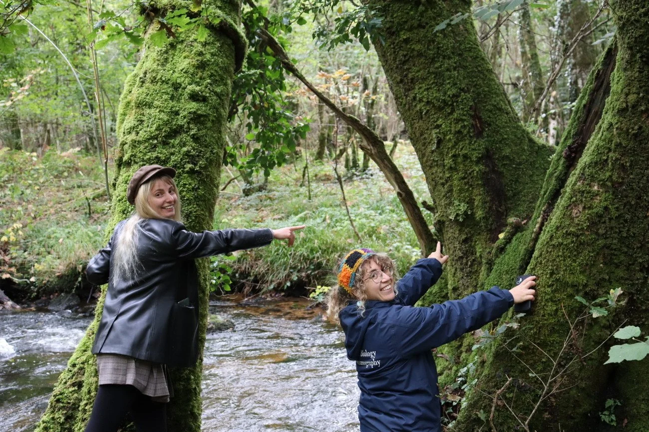 About | Join Our Restoration Efforts — Rainforest Recovery | Woodland Trust