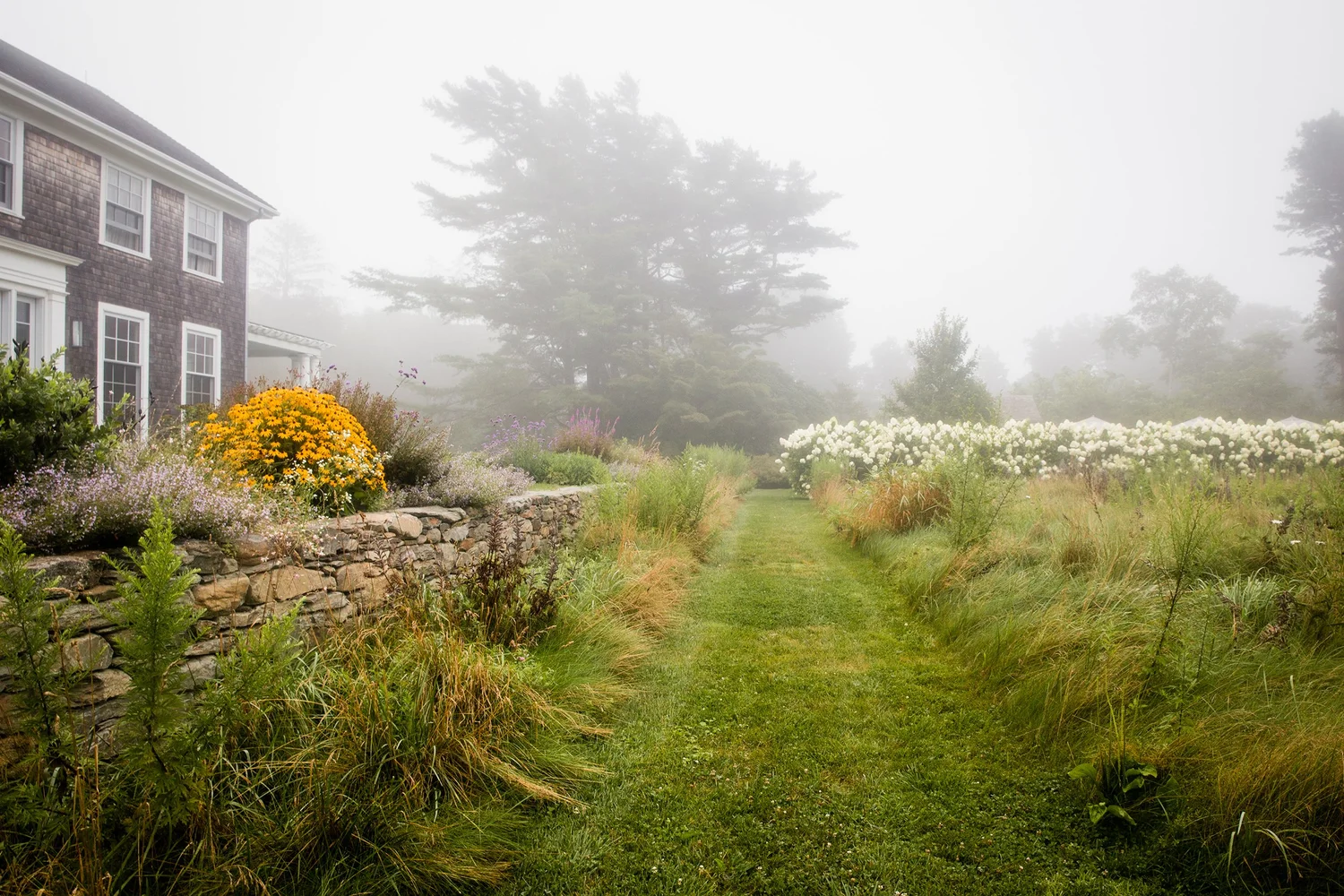 Old Farm — STIMSON