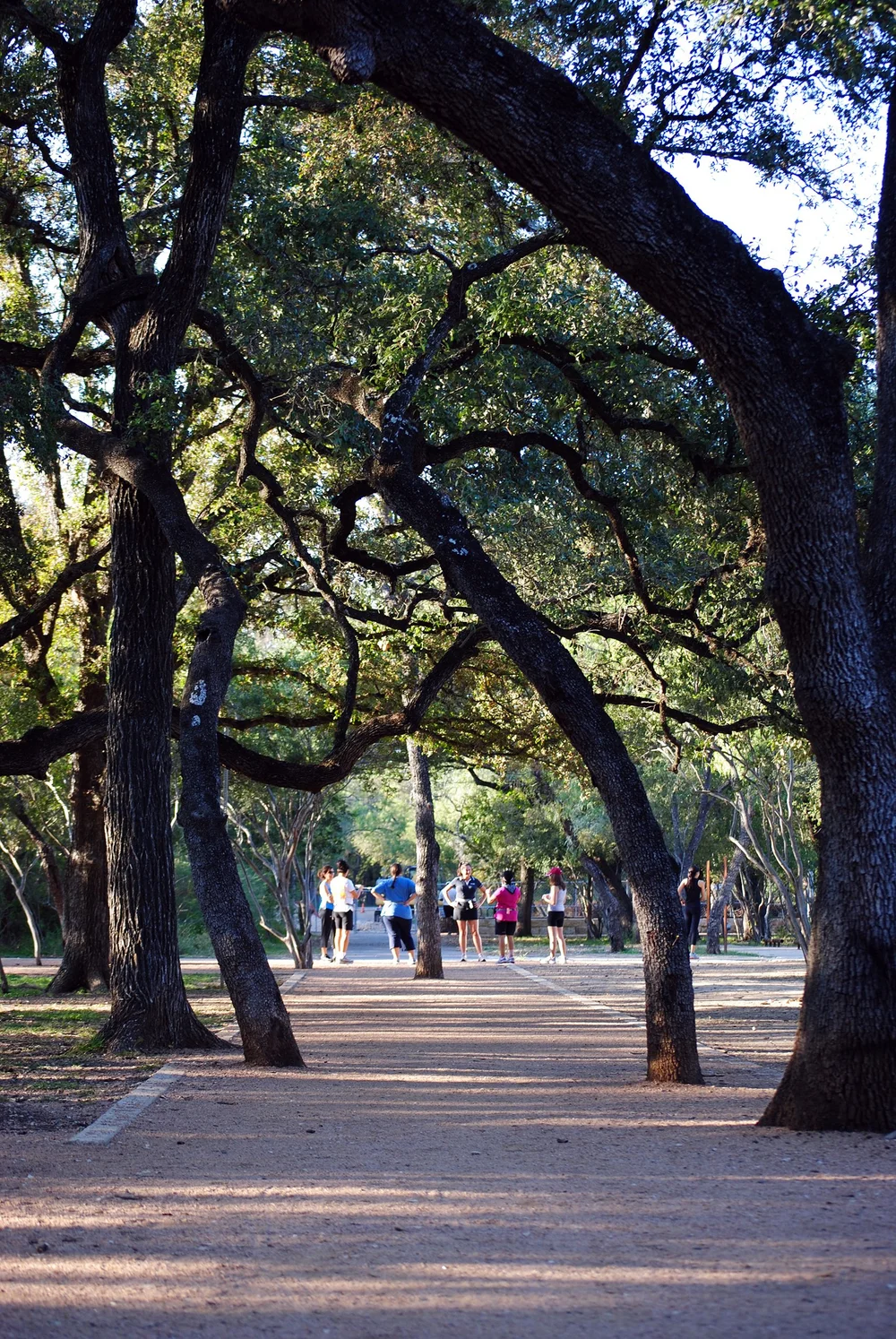 Hardberger Park — STIMSON