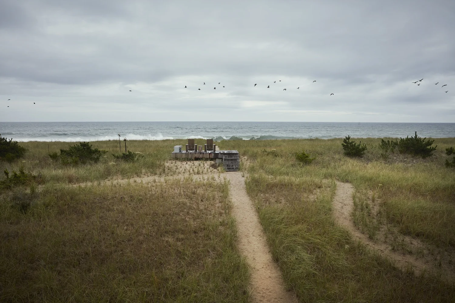 Amagansett Walking Dune — STIMSON