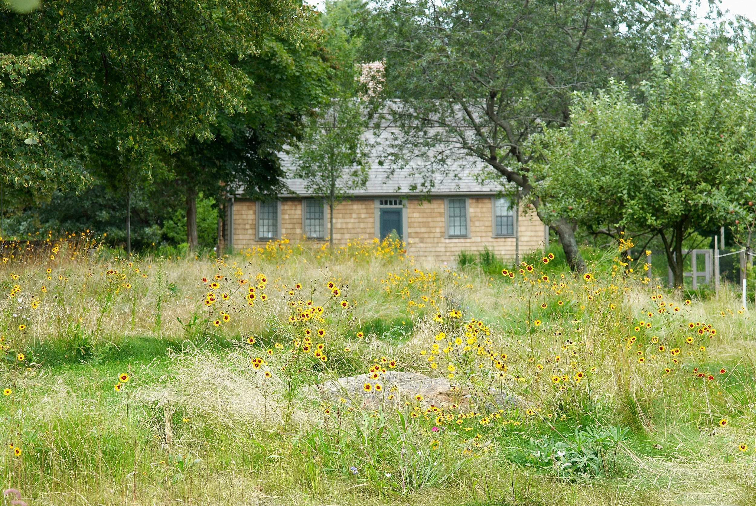 Long Meadow — STIMSON