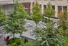 MIT Hayden Library — STIMSON