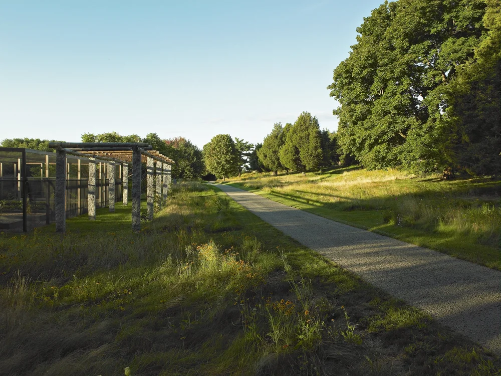 Long Meadow — STIMSON