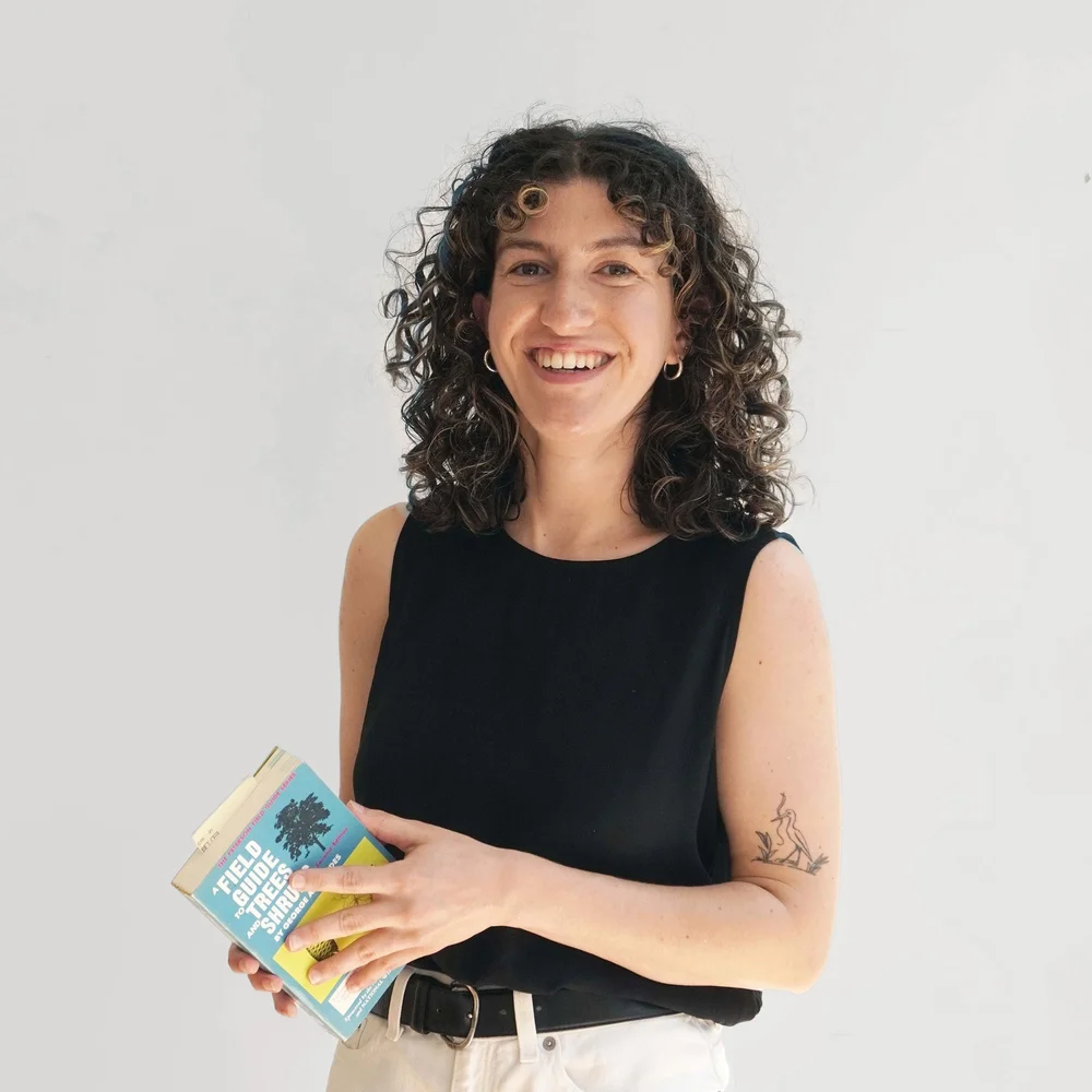 Zoë Holland — STIMSON