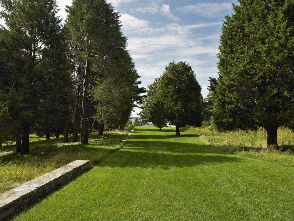 Long Meadow — STIMSON