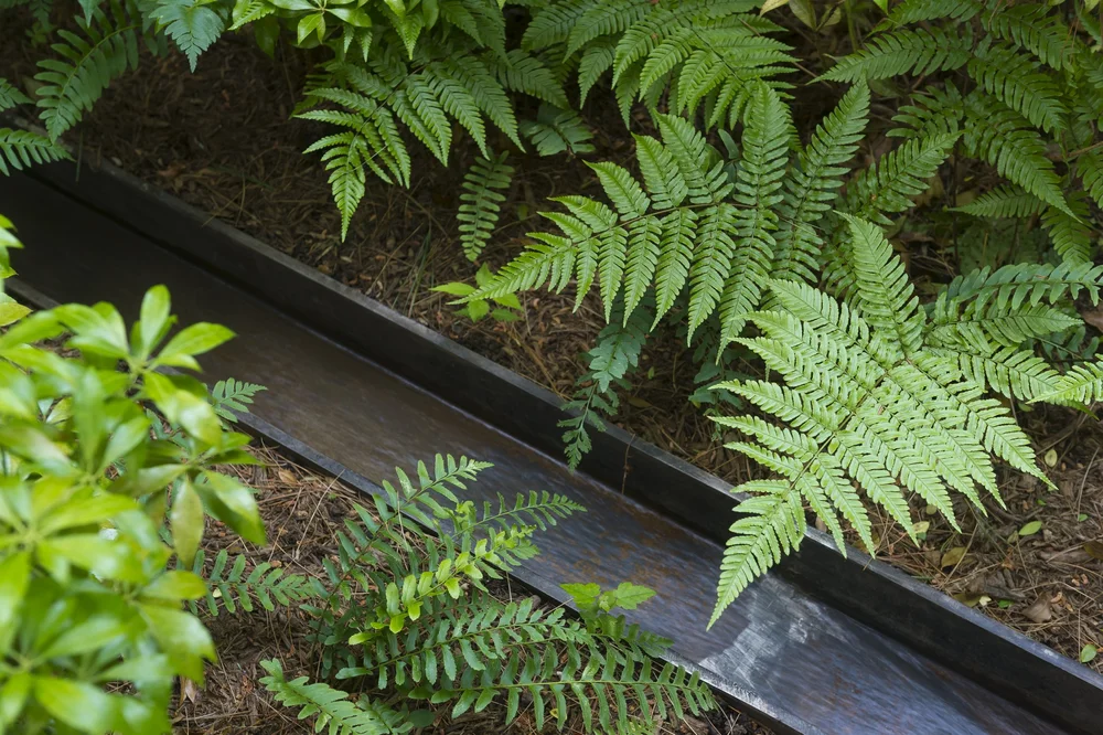 Woodland Residence — STIMSON