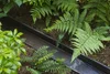 Woodland Residence — STIMSON