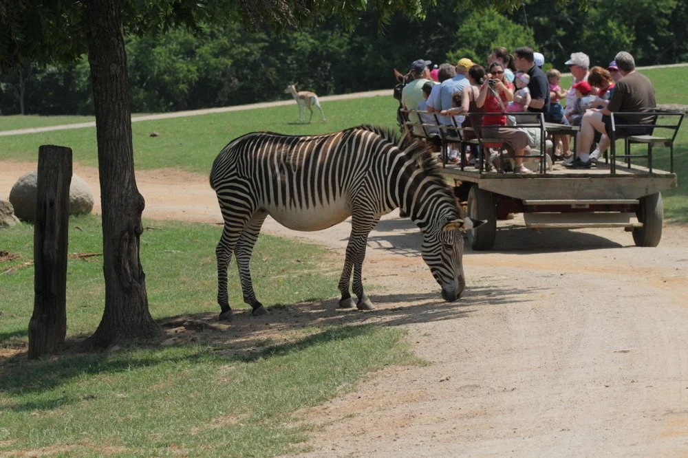 Lazy Five Ranch | Explore & Discover Today — Visit Mooresville