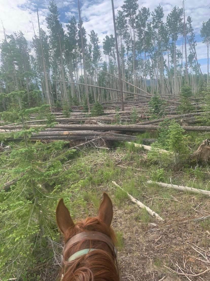 Headwaters of the Colorado Initiative | Explore & Engage