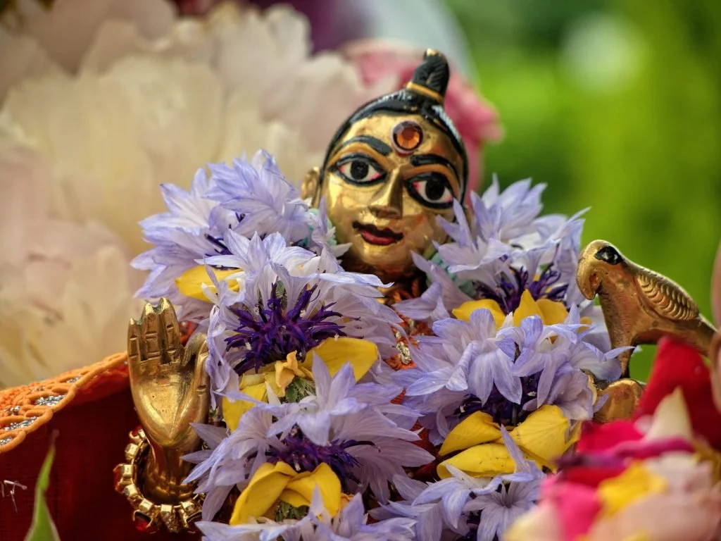 Explore basil’s fascinating journey across cultures—from sacred Hindu ...