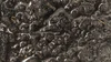 How Do Roots Breathe? Explained in Simple Terms