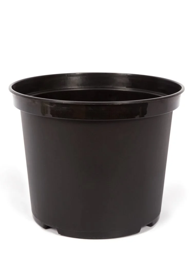 Guide to Nursery Container Sizes | Plant Specialists