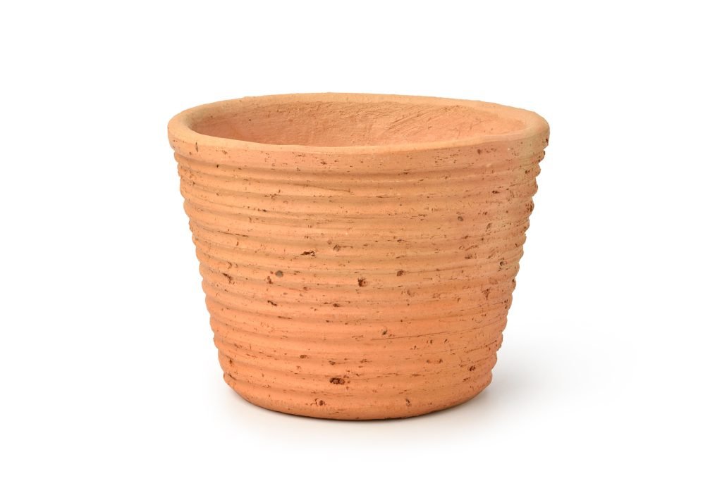 Guide to Nursery Container Sizes | Plant Specialists
