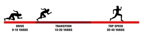 Sprinting Part 1 – Mastering the Phases of Speed: Science, Skill, and ...
