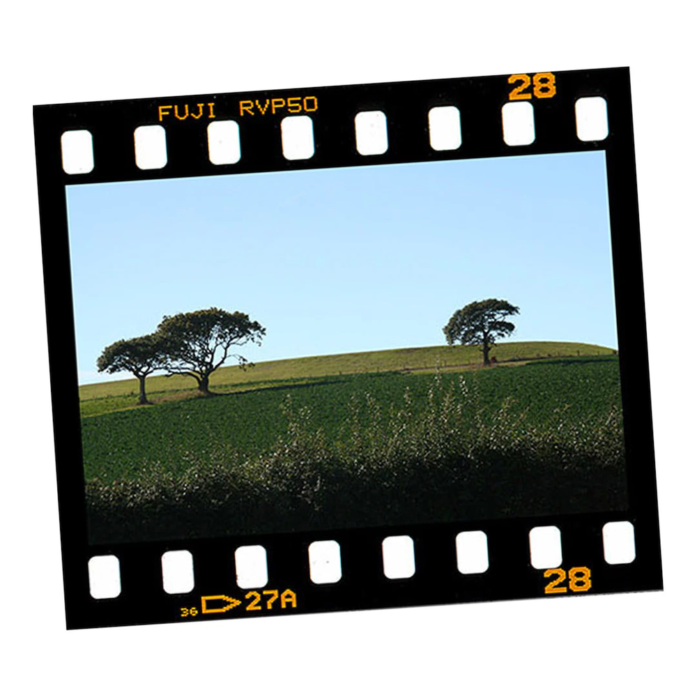 Richmond Film Services | Professional Film and Photo Processing