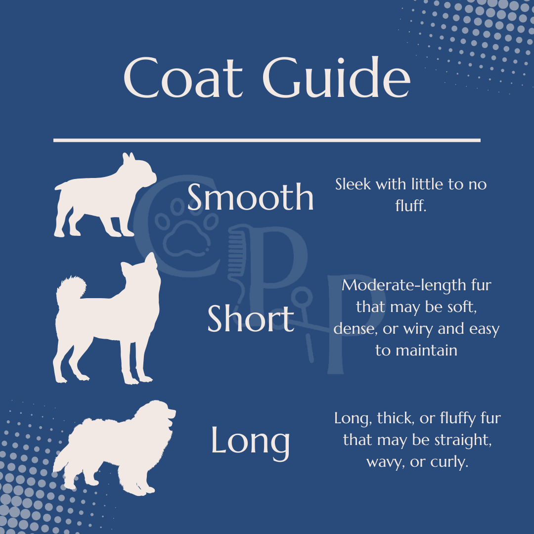 Cutie Pie Pets; Coppell's #1 Groomer Since 2007 | Groom Your Pet Today