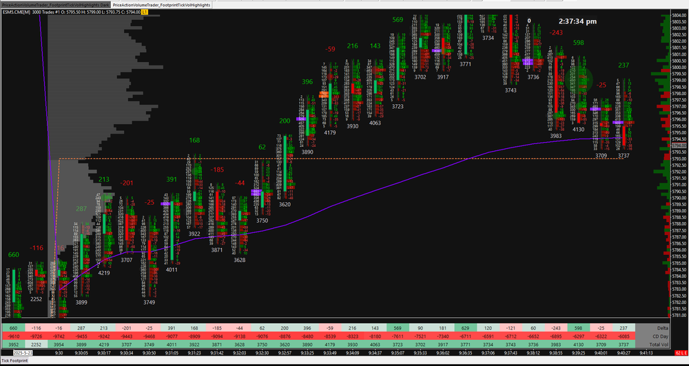 Footprint Charts — Sierra Chartbook Store — Price Action Volume Trader