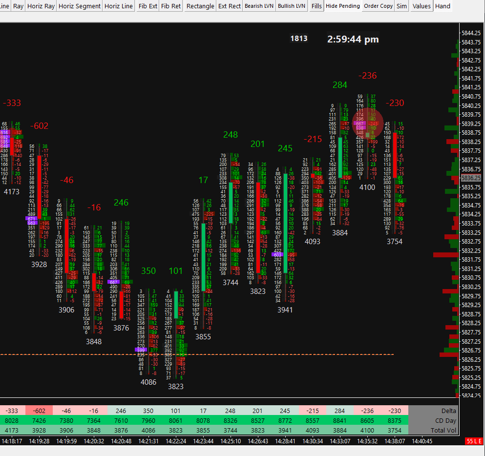 Footprint Charts — Sierra Chartbook Store — Price Action Volume Trader