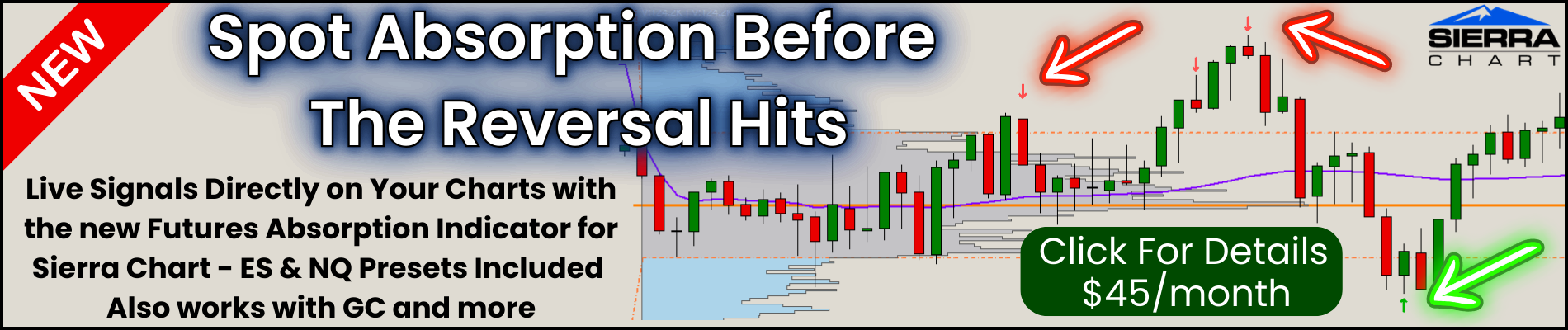 Sierra Chartbook Store — Price Action Volume Trader