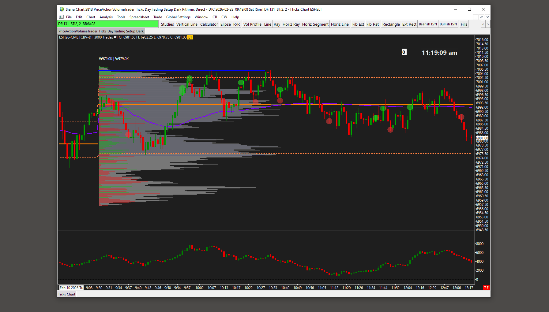 Volume Profile Charts — Sierra Chartbook Store — Price Action Volume Trader