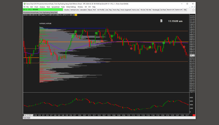 Volume Profile Charts — Sierra Chartbook Store — Price Action Volume Trader