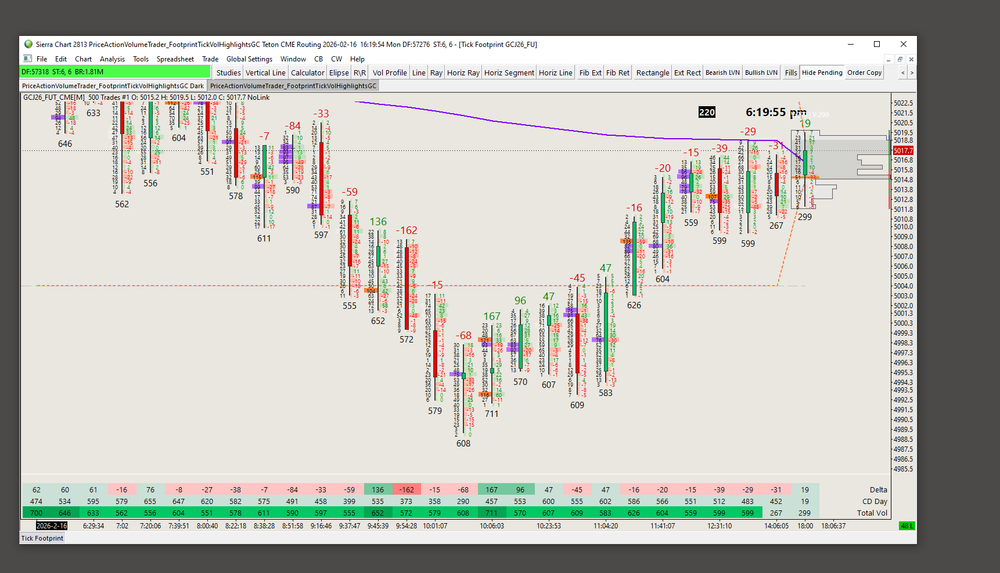 Footprint Charts — Sierra Chartbook Store — Price Action Volume Trader