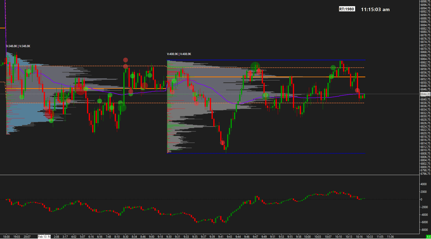 Volume Profile Charts — Sierra Chartbook Store — Price Action Volume Trader