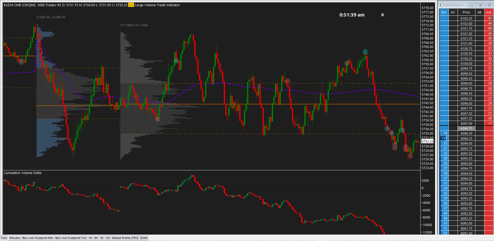 Sierra Chartbook Store — Price Action Volume Trader