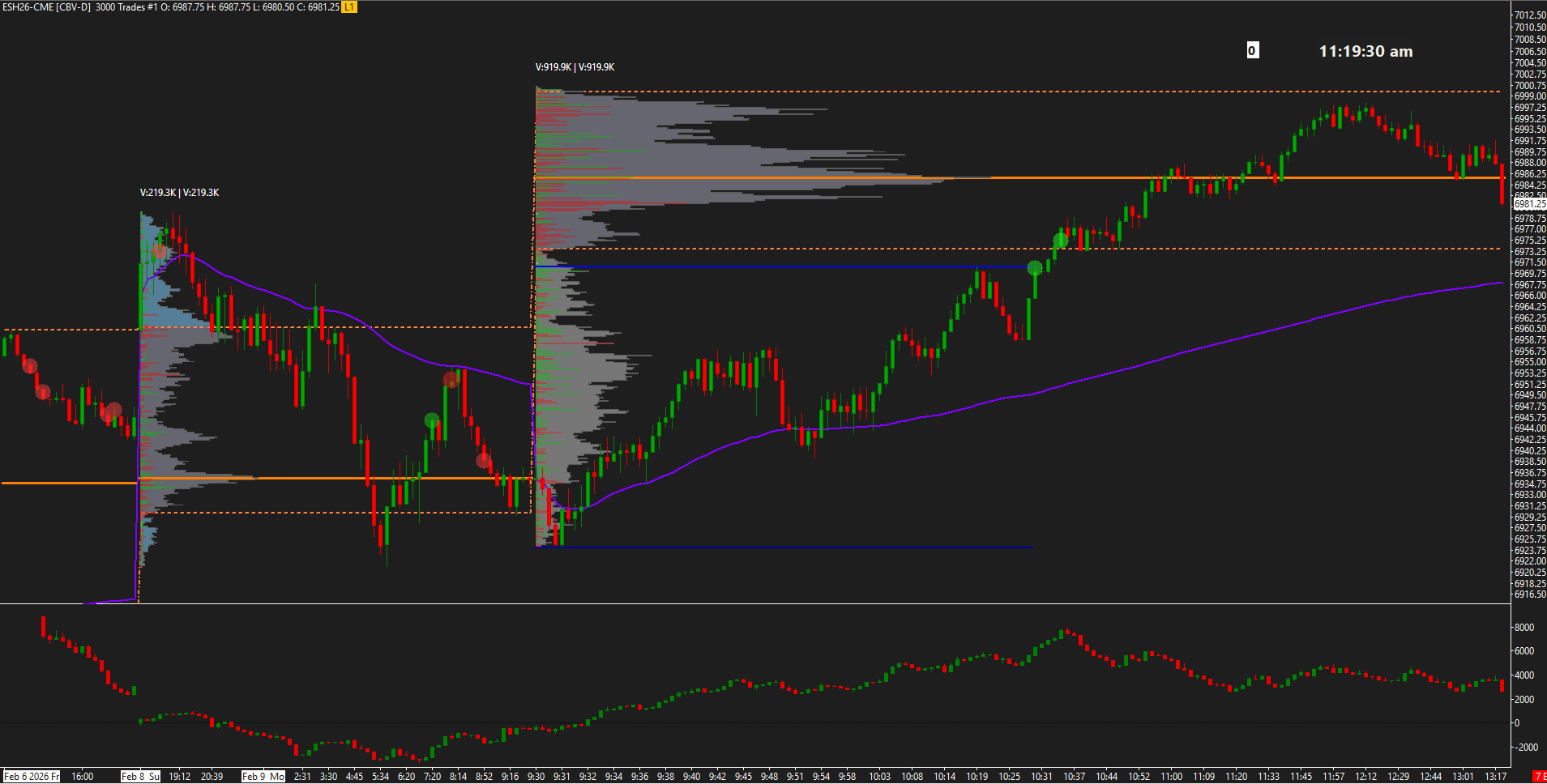 Volume Profile Charts — Sierra Chartbook Store — Price Action Volume Trader