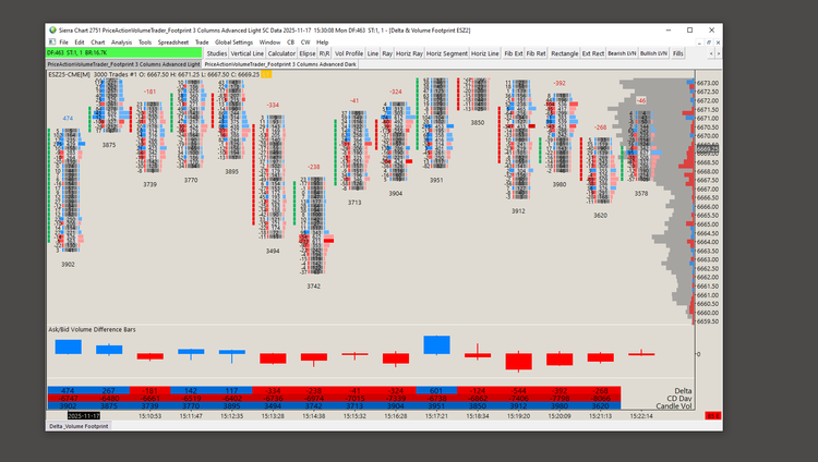 Footprint Charts — Sierra Chartbook Store — Price Action Volume Trader