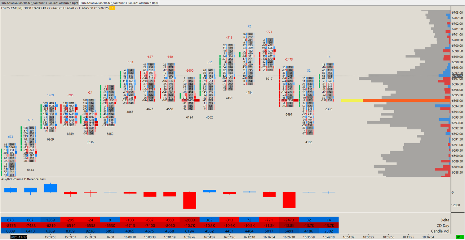 Footprint Charts — Sierra Chartbook Store — Price Action Volume Trader
