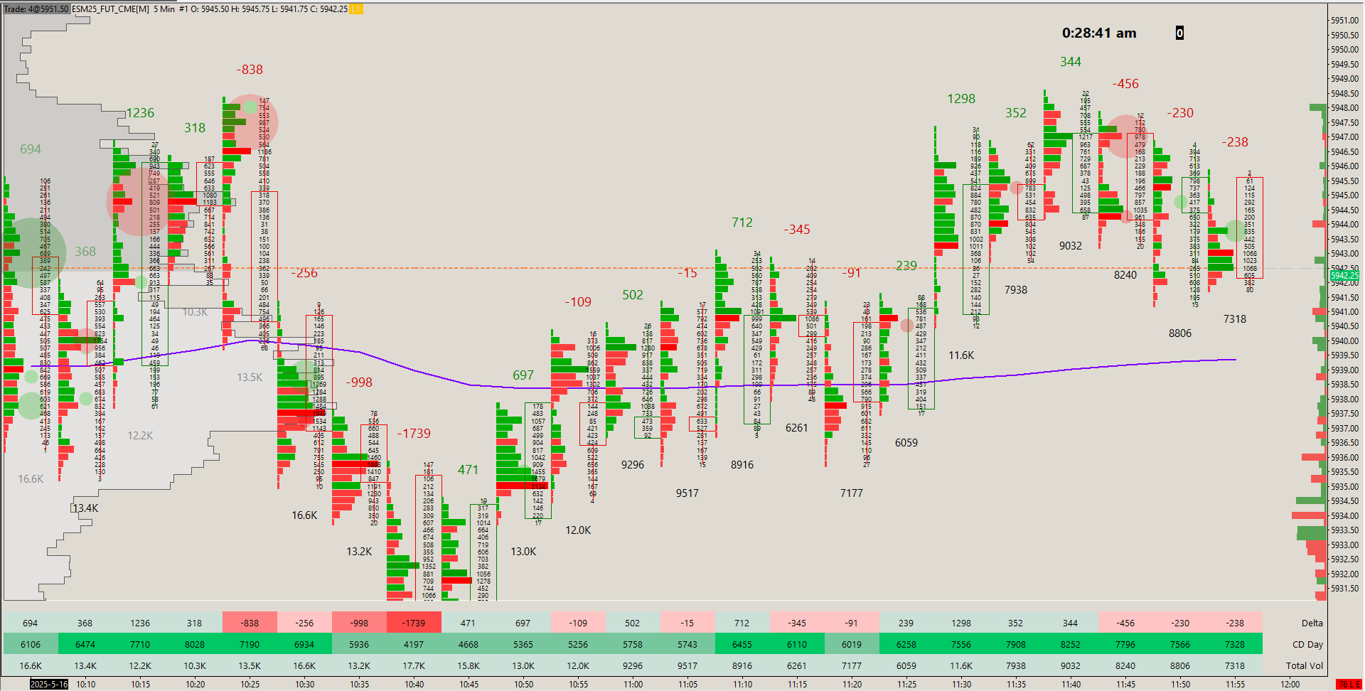 Footprint Charts — Sierra Chartbook Store — Price Action Volume Trader