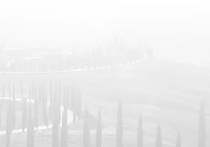 La Fenice Tuscan Grill